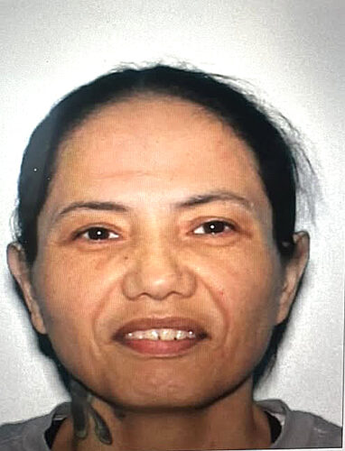 Search underway for missing woman | News, Sports, Jobs - Minot Daily News
